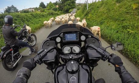 Harley-Davidson: la storia del rumore inconfondibile delle moto ...