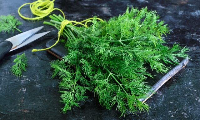 Aneto: proprietà, benefici, ricette e come mantenerlo fresco | Gazzetta.it