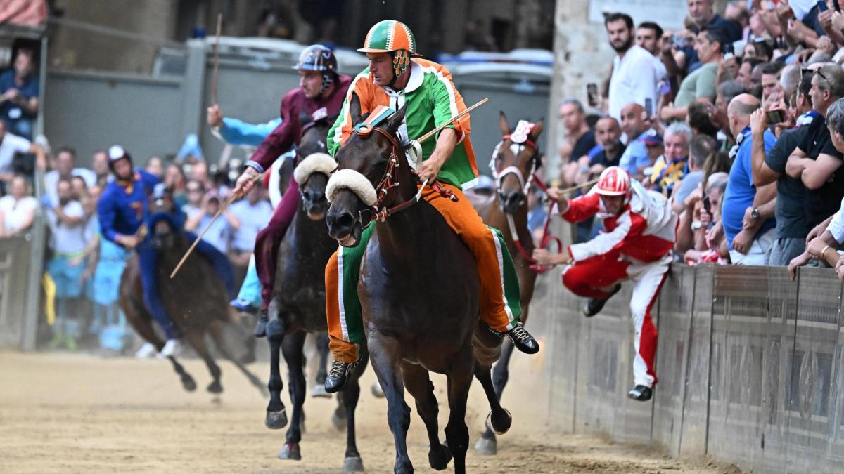 Palio di Siena 2 luglio, vince la contrada Selva col fantino Tittia ...