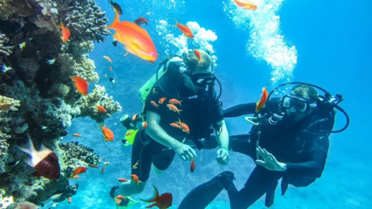 Immersione subacquea: come prepararsi e quali controlli fare prima ...