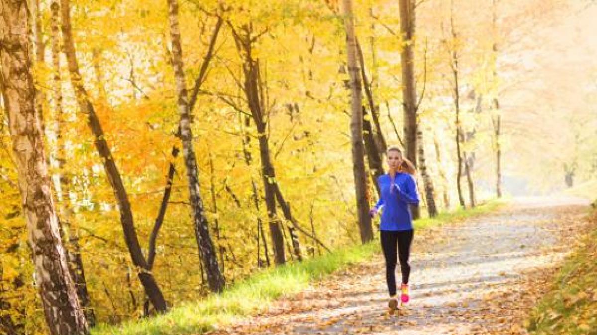 Allenarsi al parco in autunno: ecco 3 proposte e gli esercizi top ...