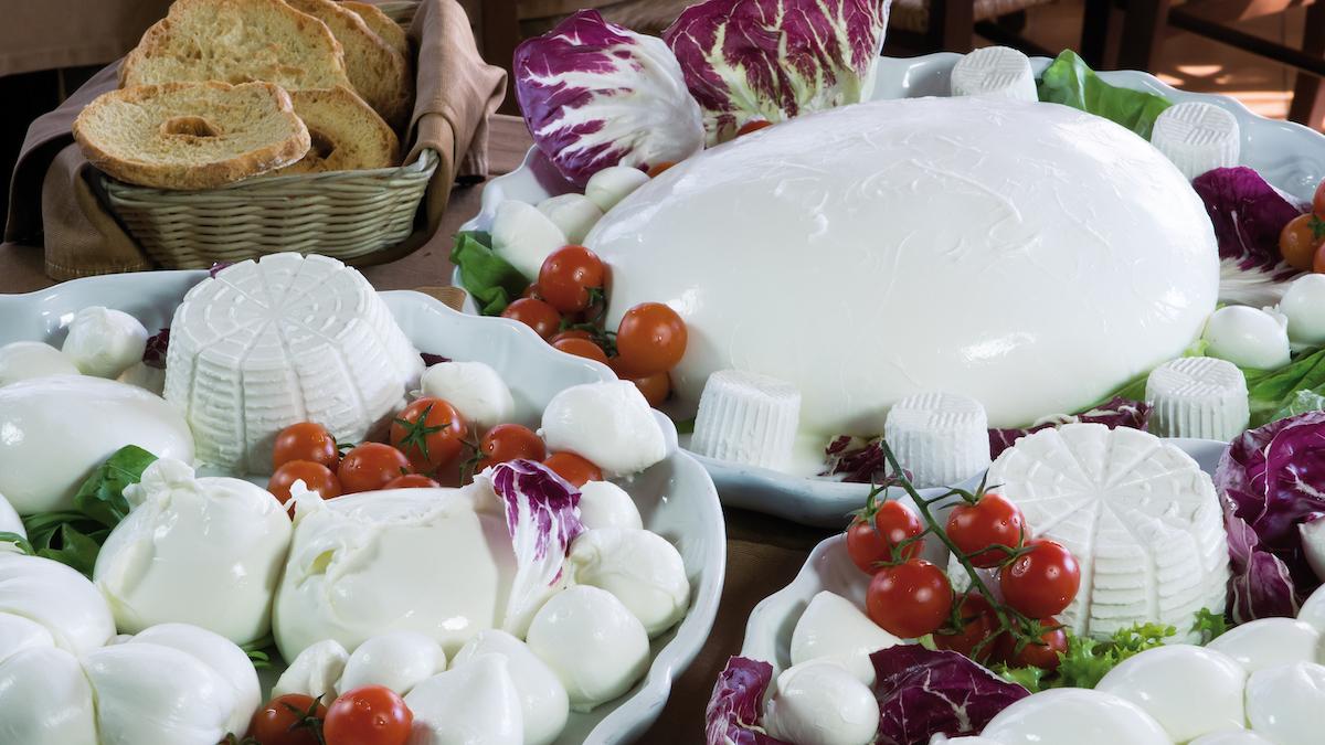 Quali sono i formaggi che fanno meno male? Ecco i migliori 7 | Gazzetta.it