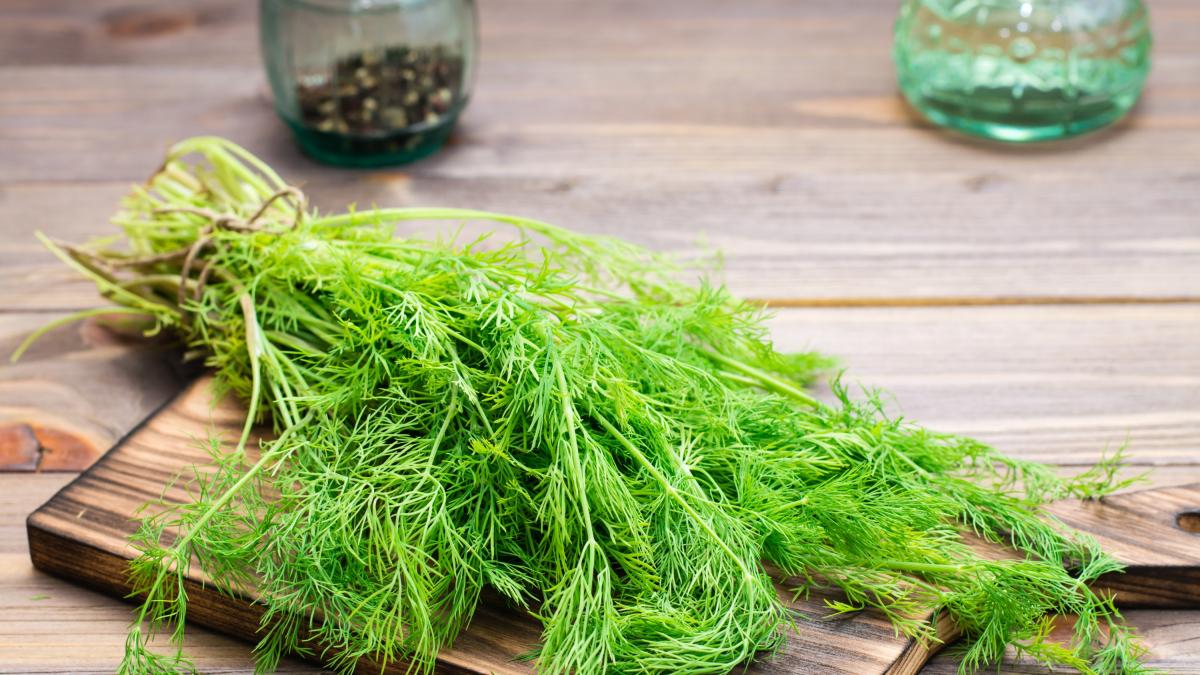 Aneto: proprietà, benefici, ricette e come mantenerlo fresco | Gazzetta.it