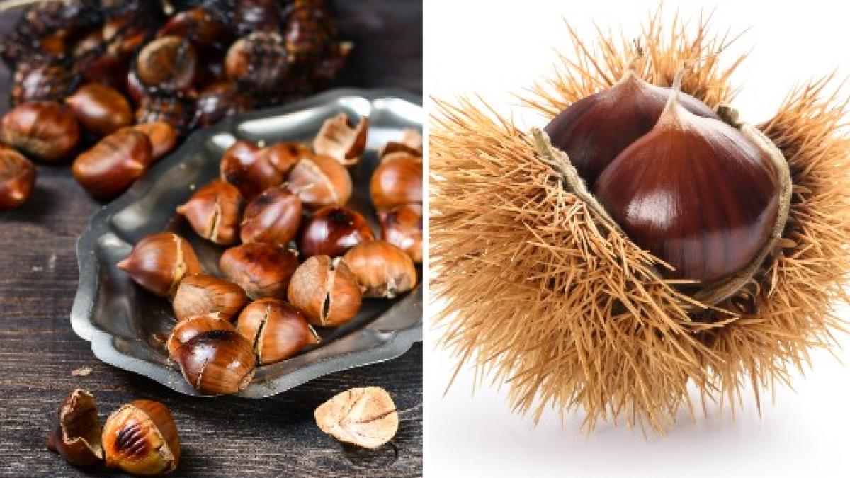 Castagne e marroni: differenze, proprietà, valori nutrizionali ...
