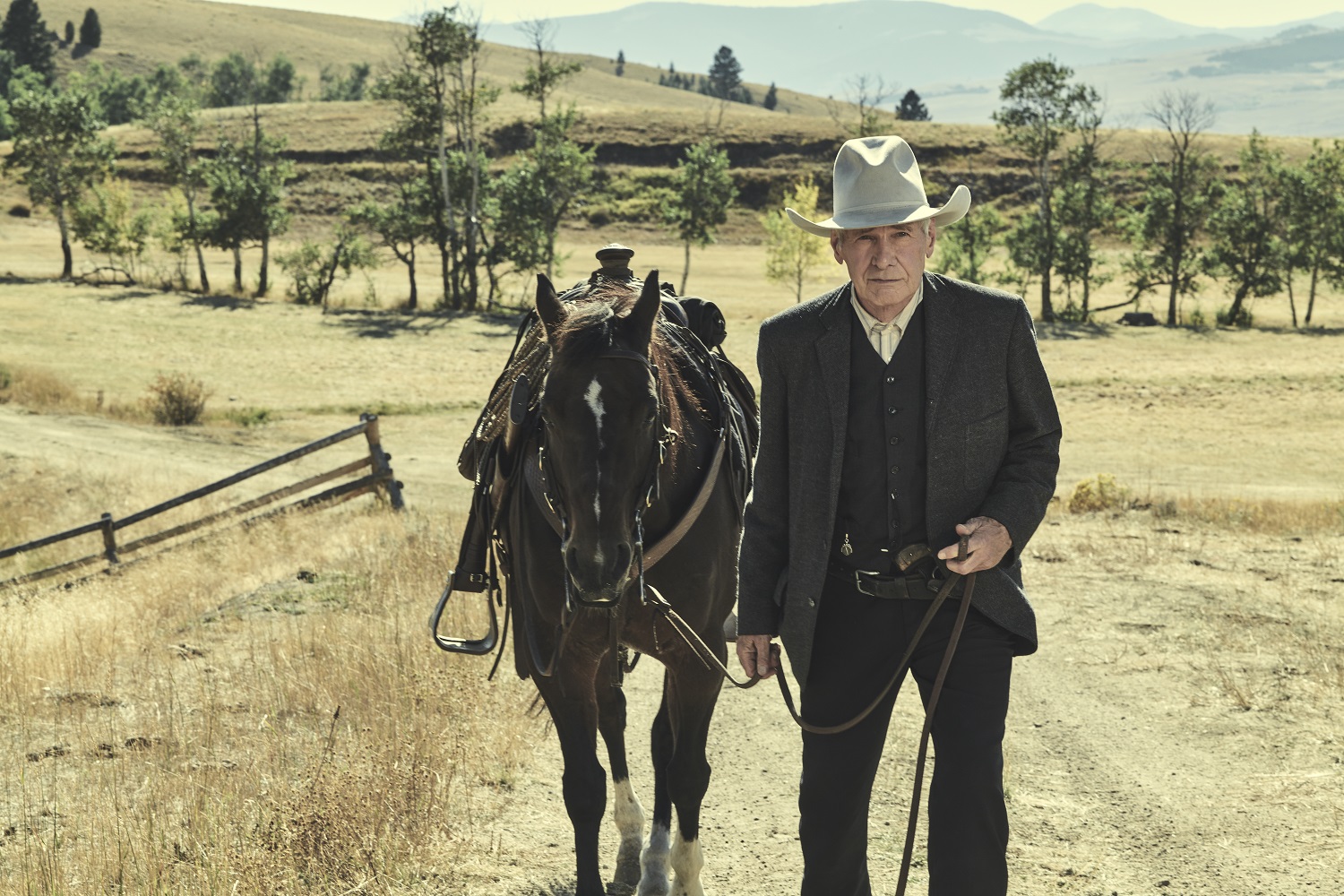 Harrison Ford cowboy accanto a Helen Mirren in 1923, come vedere la ...