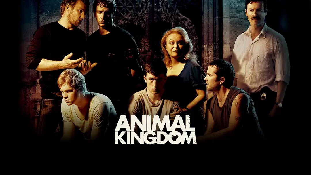 Animal Kingdom: cos'è e come vedere la serie tv amata da Sinner | Gazzetta.it