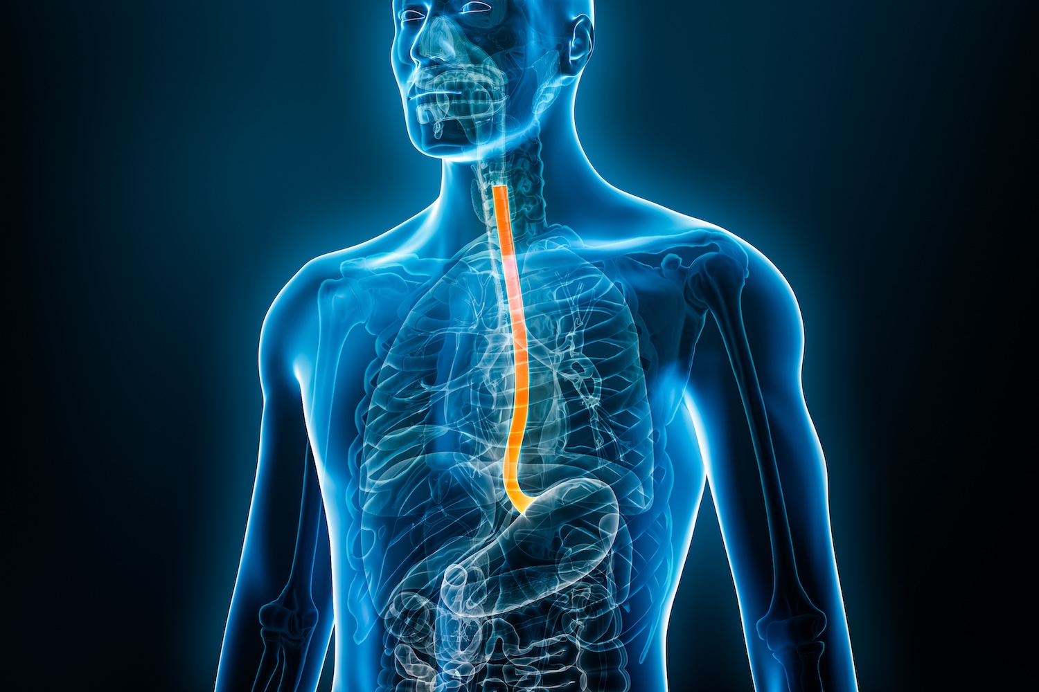 Farmaci gastroprotettori come funzionano ed effetti collaterali ...
