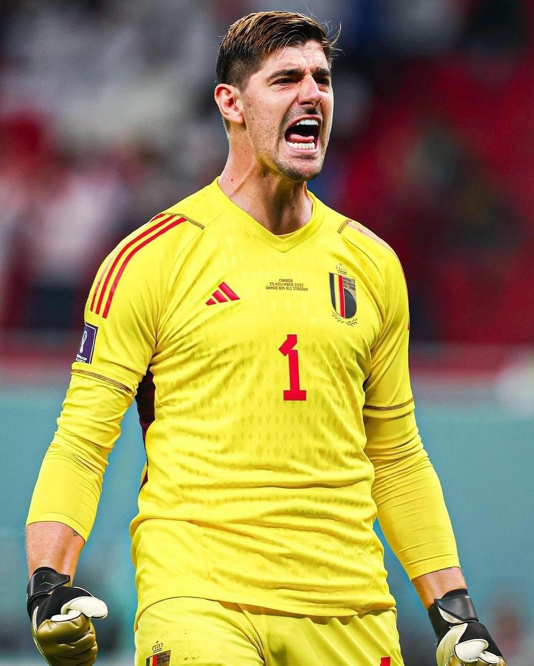 Thibaut Courtois, Elsa Izac vive con suo figlio "in una casa che cade a ...