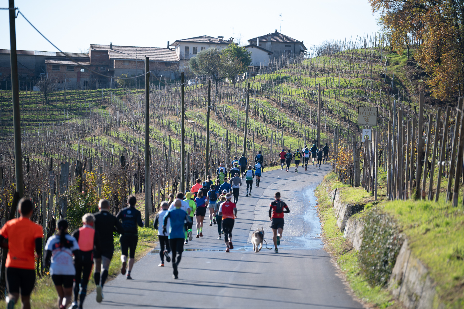 Prosecco Run 2024: percorsi, programma delle gare, eventi extra ...