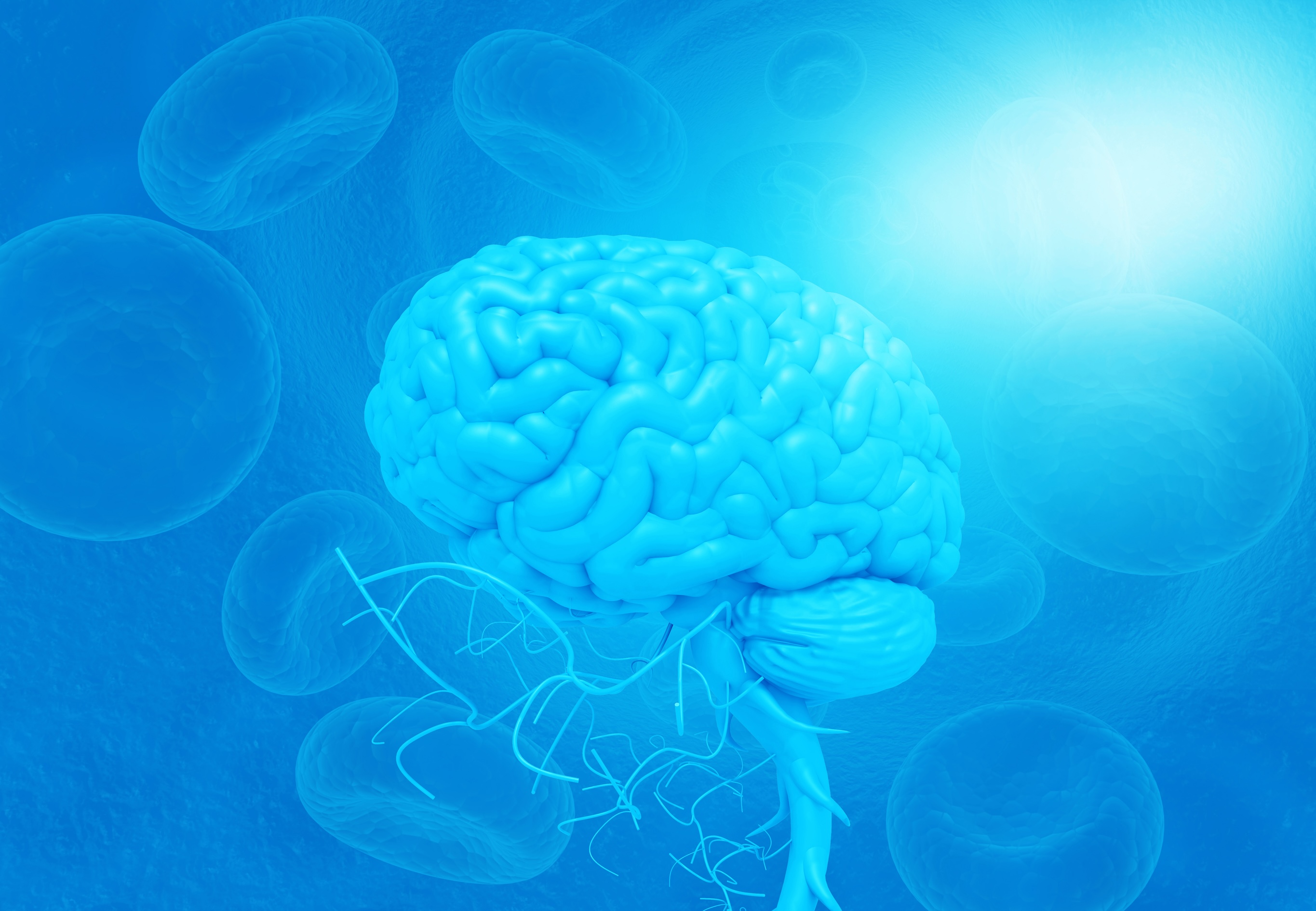 Piastrine influenzano memoria e comportamento: lo studio | Gazzetta.it