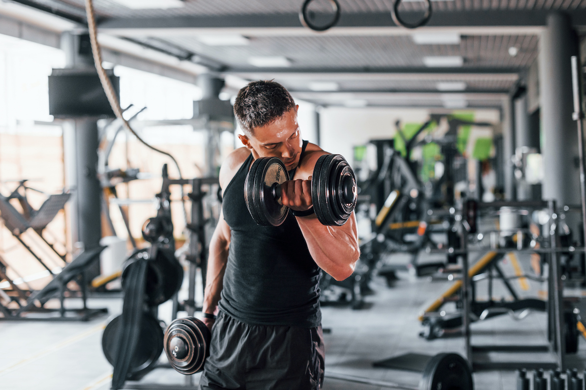 Sala pesi, gli effetti sul corpo: dal cervello al sistema immunitario ...