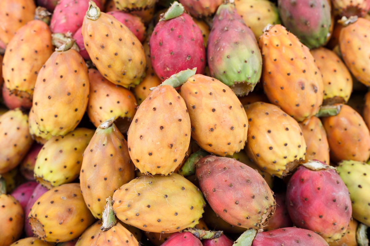 Fichi d’India contro diabete e colesterolo: ecco cosa dice la scienza ...